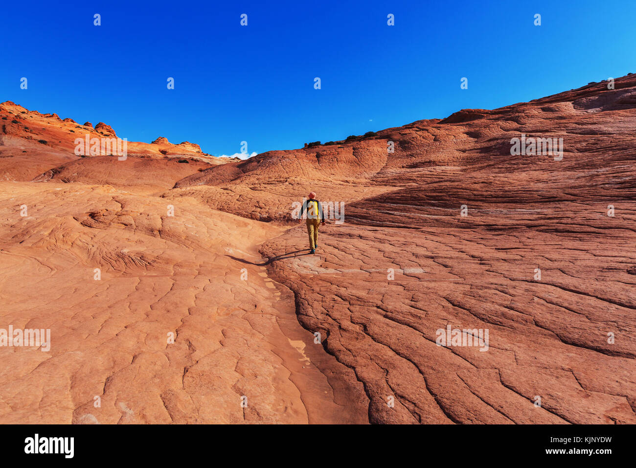 Hike in the Utah mountains Stock Photo - Alamy