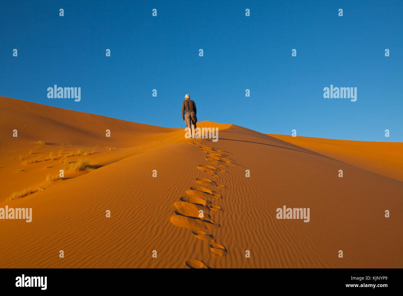 Hike in desert Stock Photo - Alamy