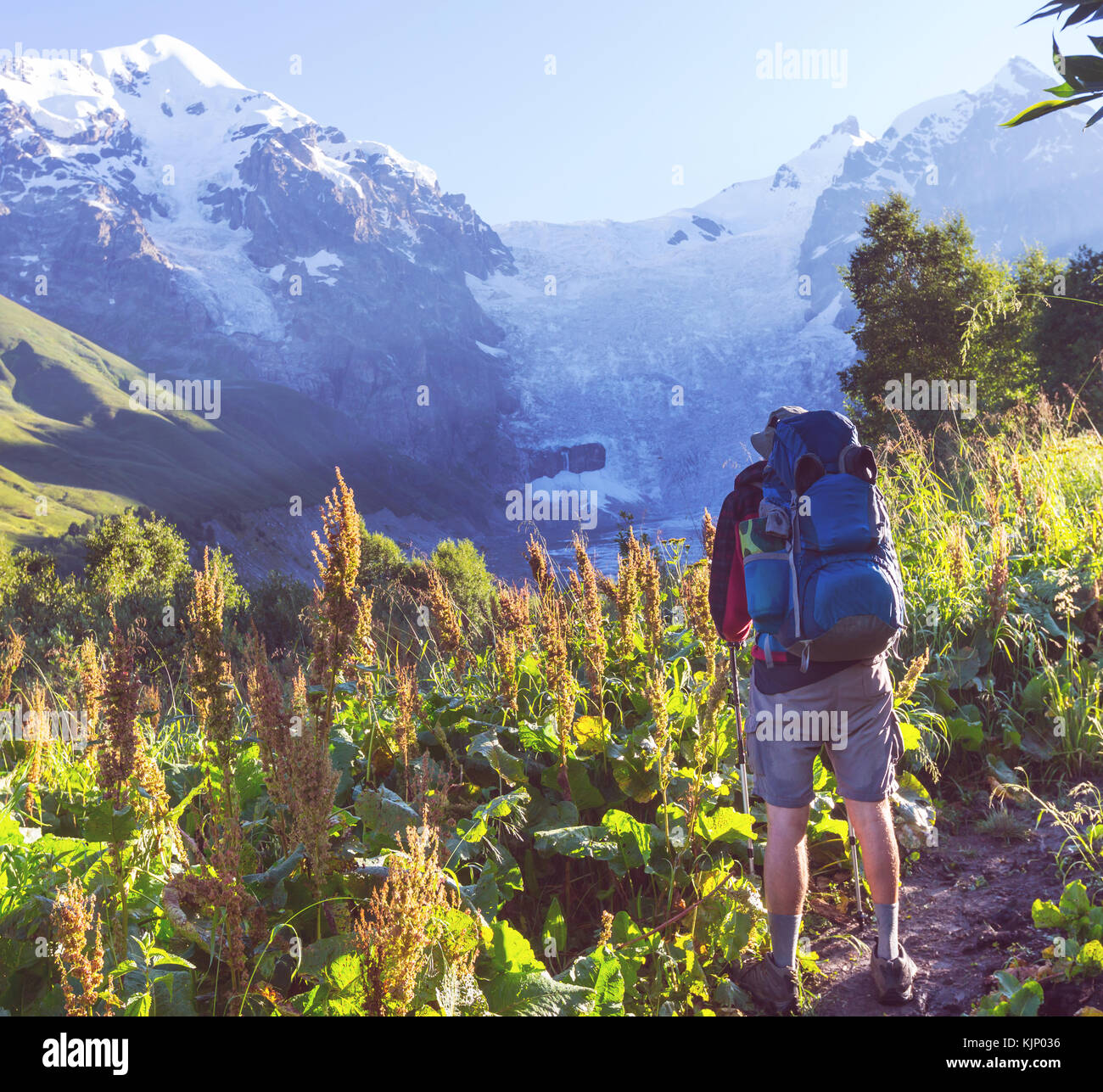 Backpacker in mountains Stock Photo - Alamy