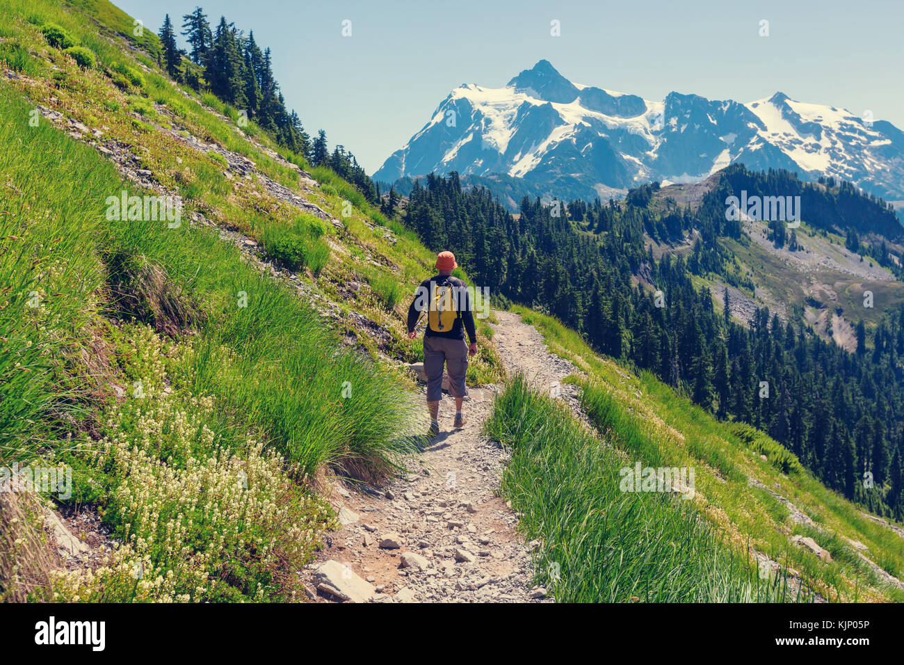 Backpacker in mountains Stock Photo - Alamy