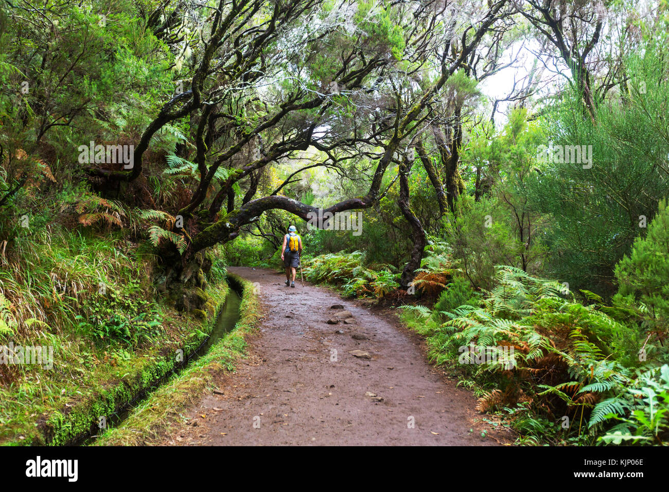 Hike in Madeira Stock Photo - Alamy