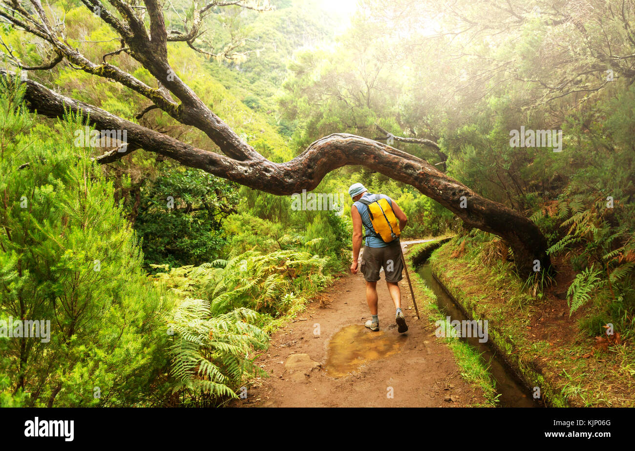Hike in Madeira Stock Photo - Alamy