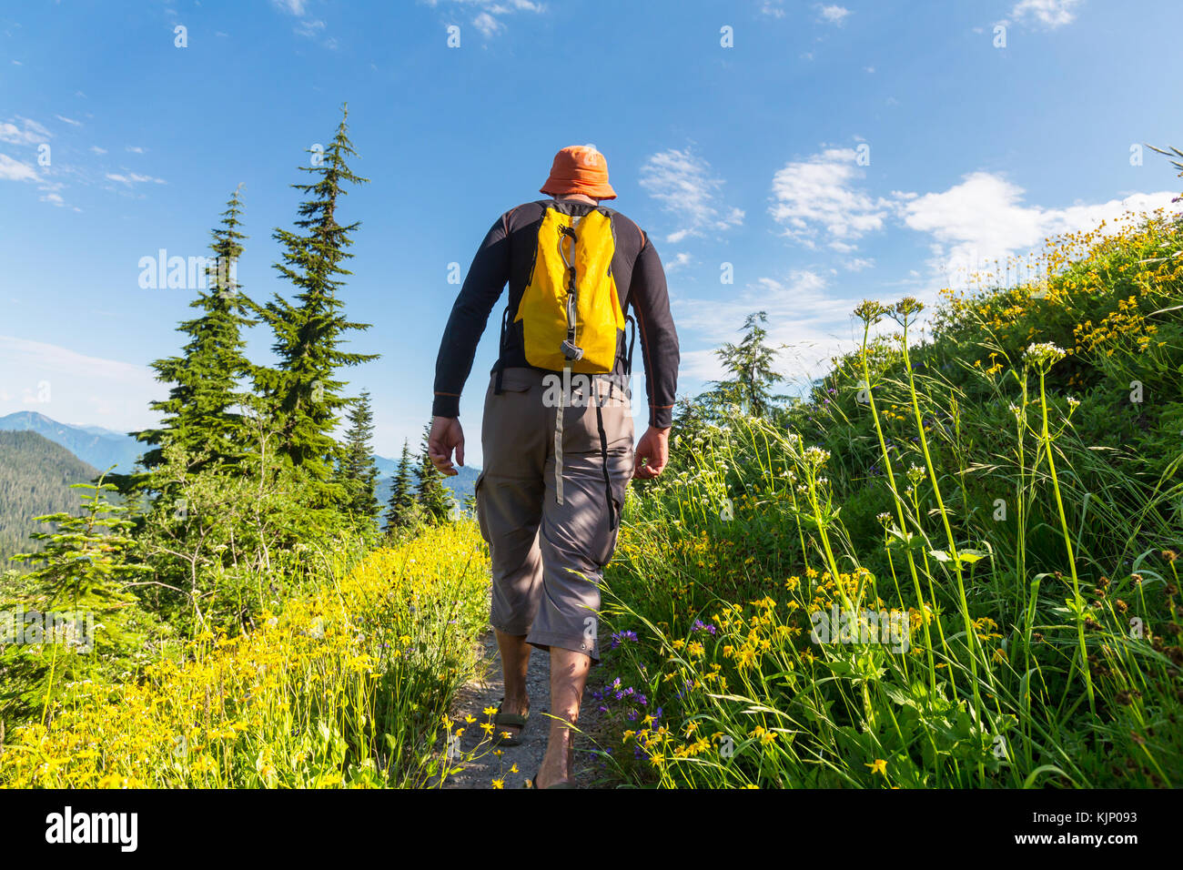 Hiking man in the mountains Stock Photo - Alamy