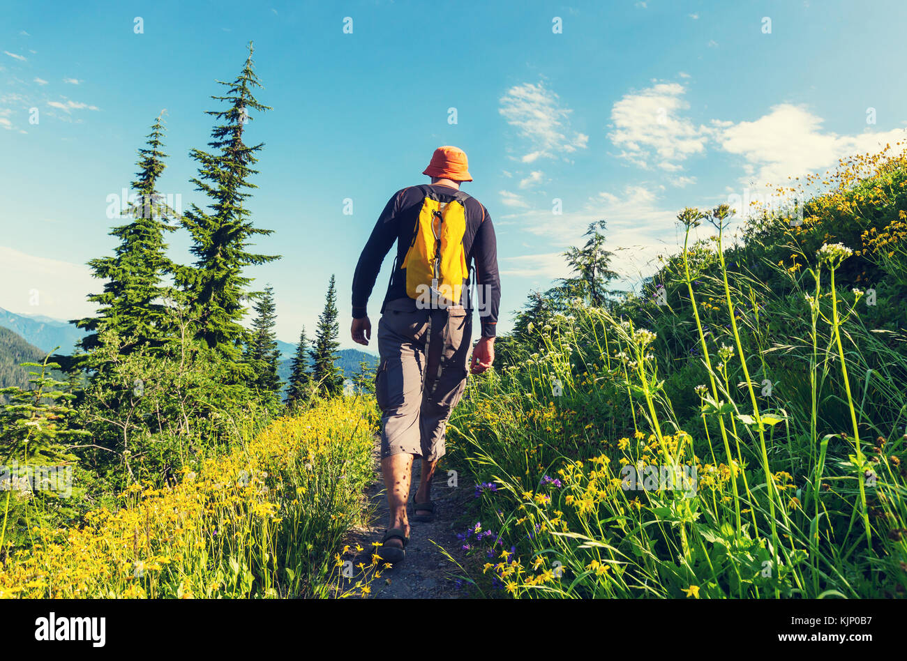 Hiking man in the mountains Stock Photo - Alamy