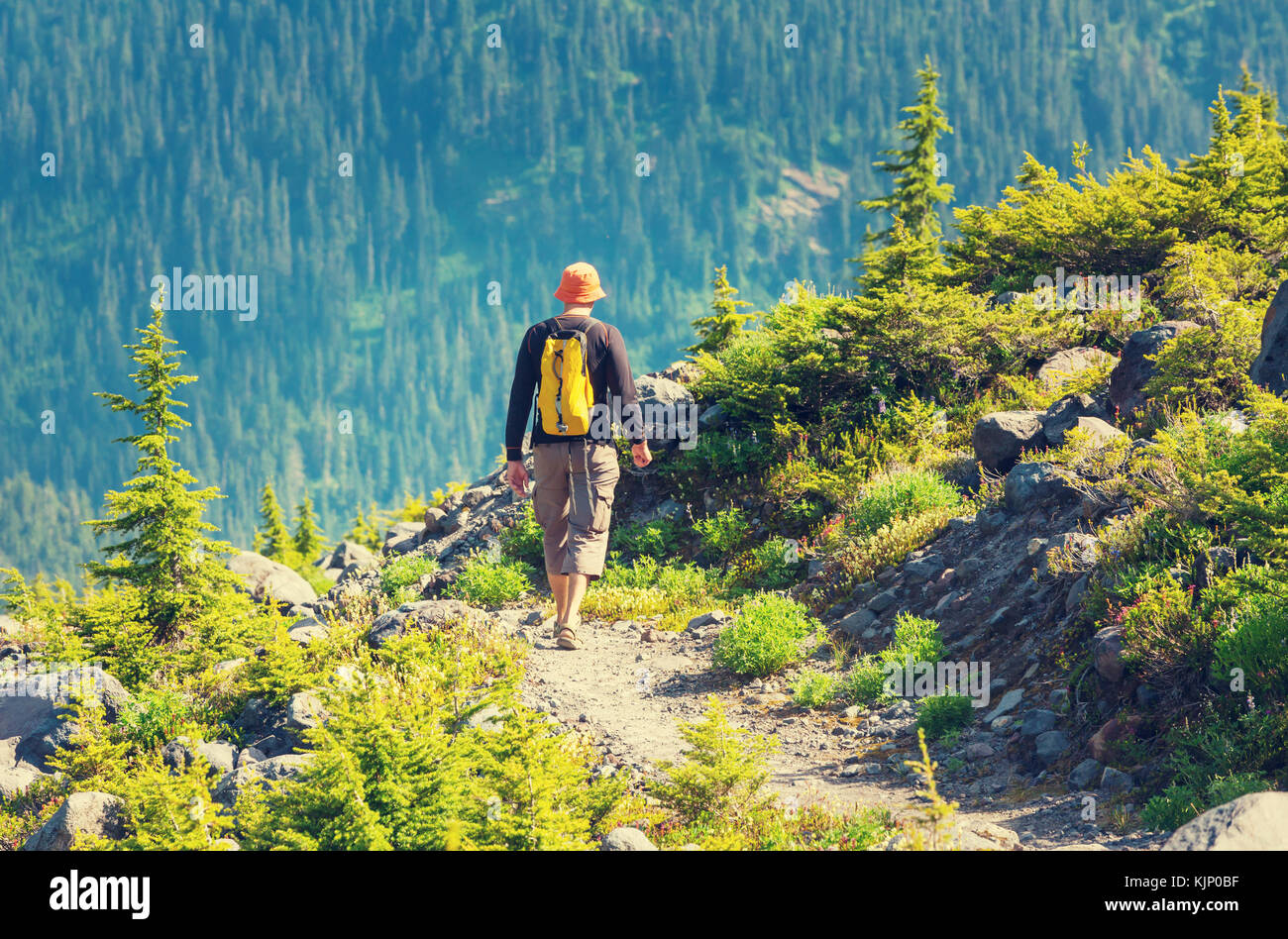 Hiking man in the mountains Stock Photo - Alamy