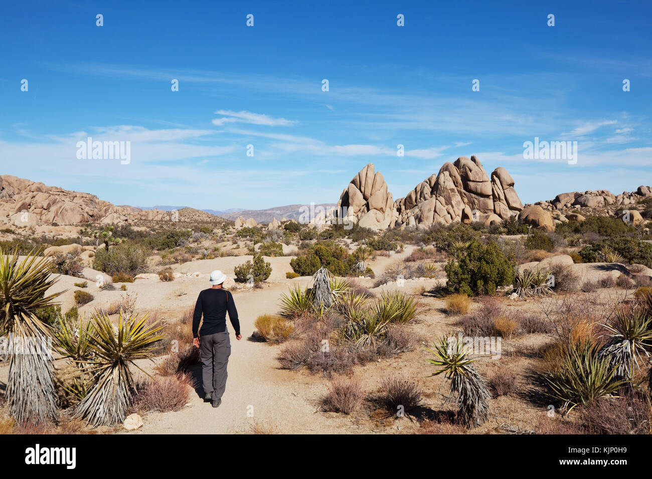 Hike in joshua tree hi-res stock photography and images - Alamy