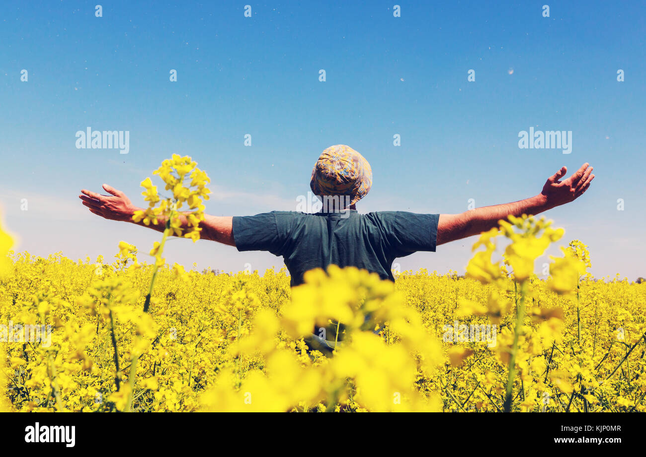 Happy man in the yellow field Stock Photo - Alamy