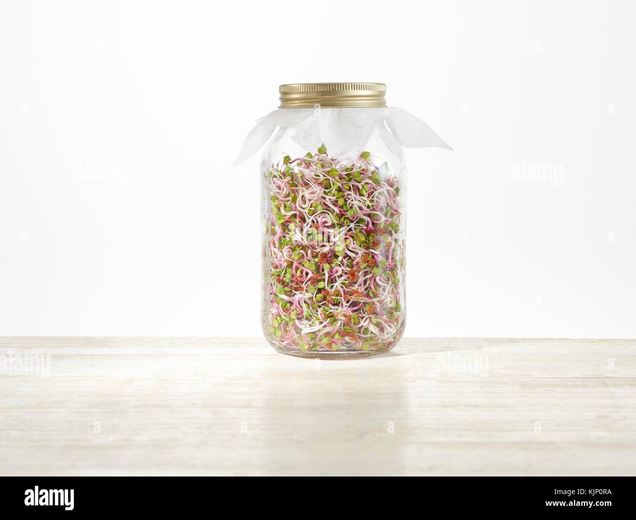 Sprouting rose radish in a jar Stock Photo - Alamy