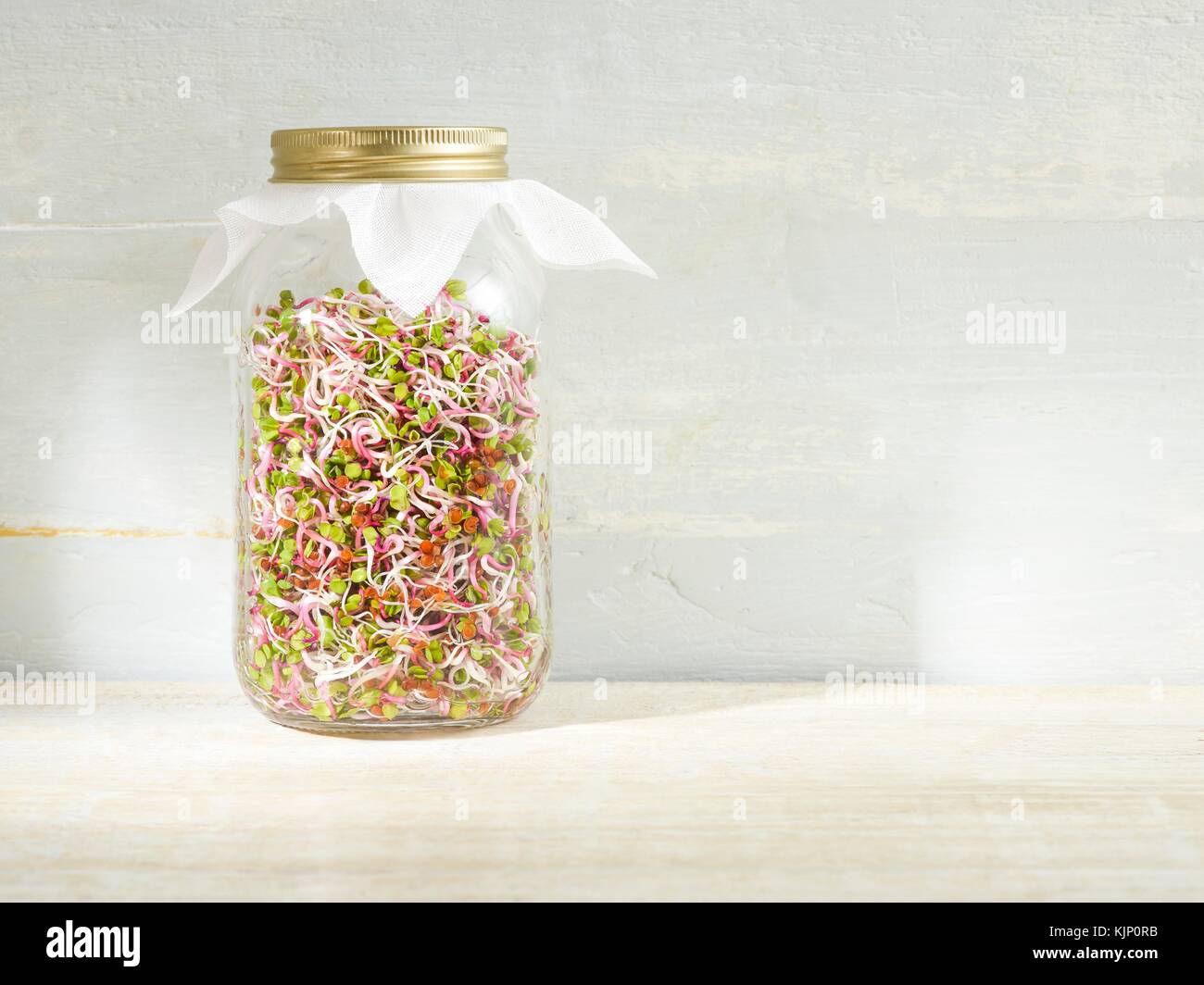 Sprouting rose radish in a jar Stock Photo - Alamy
