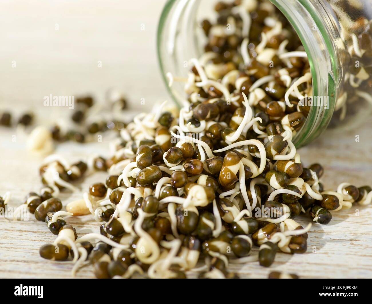 Sprouting black beans spilling out from a jar Stock Photo - Alamy