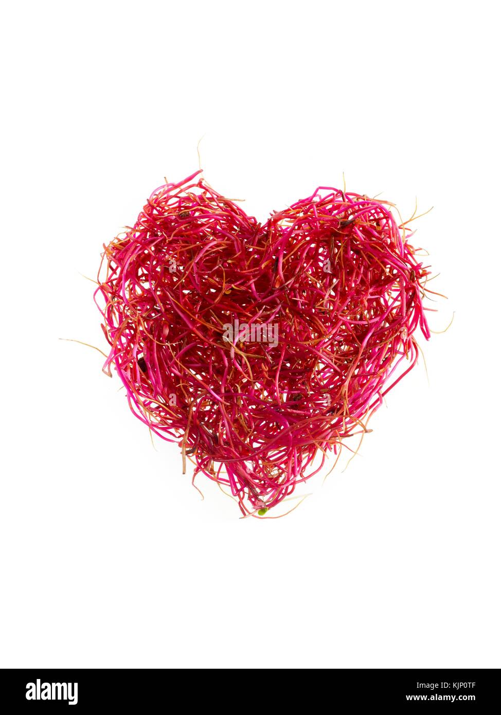 Sprouting beetroots, heart shaped, on white background Stock Photo - Alamy