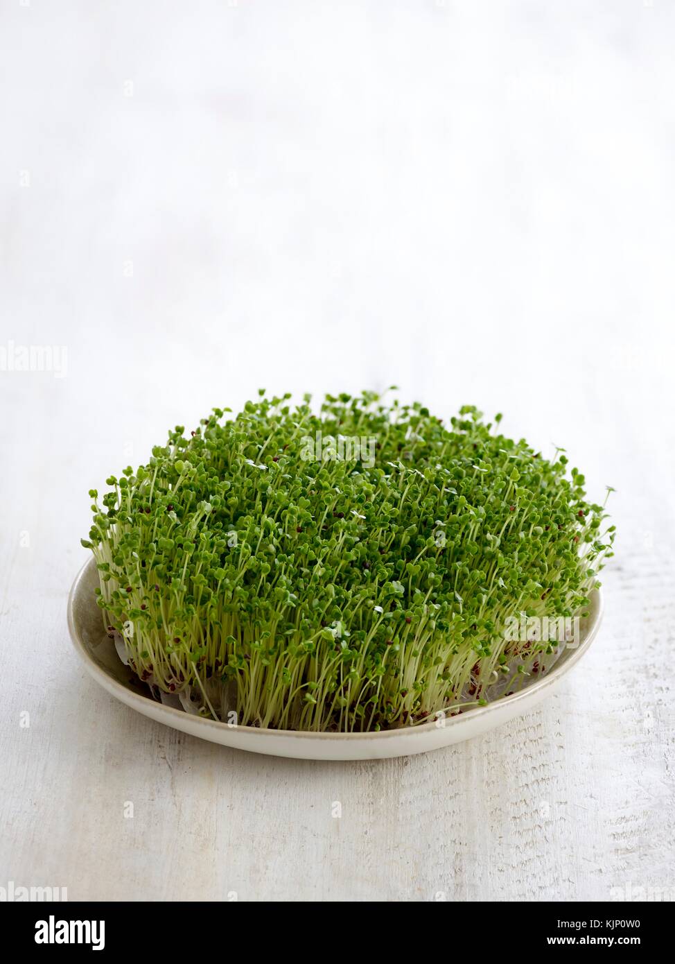 Sprouting broccoli in a dish Stock Photo - Alamy