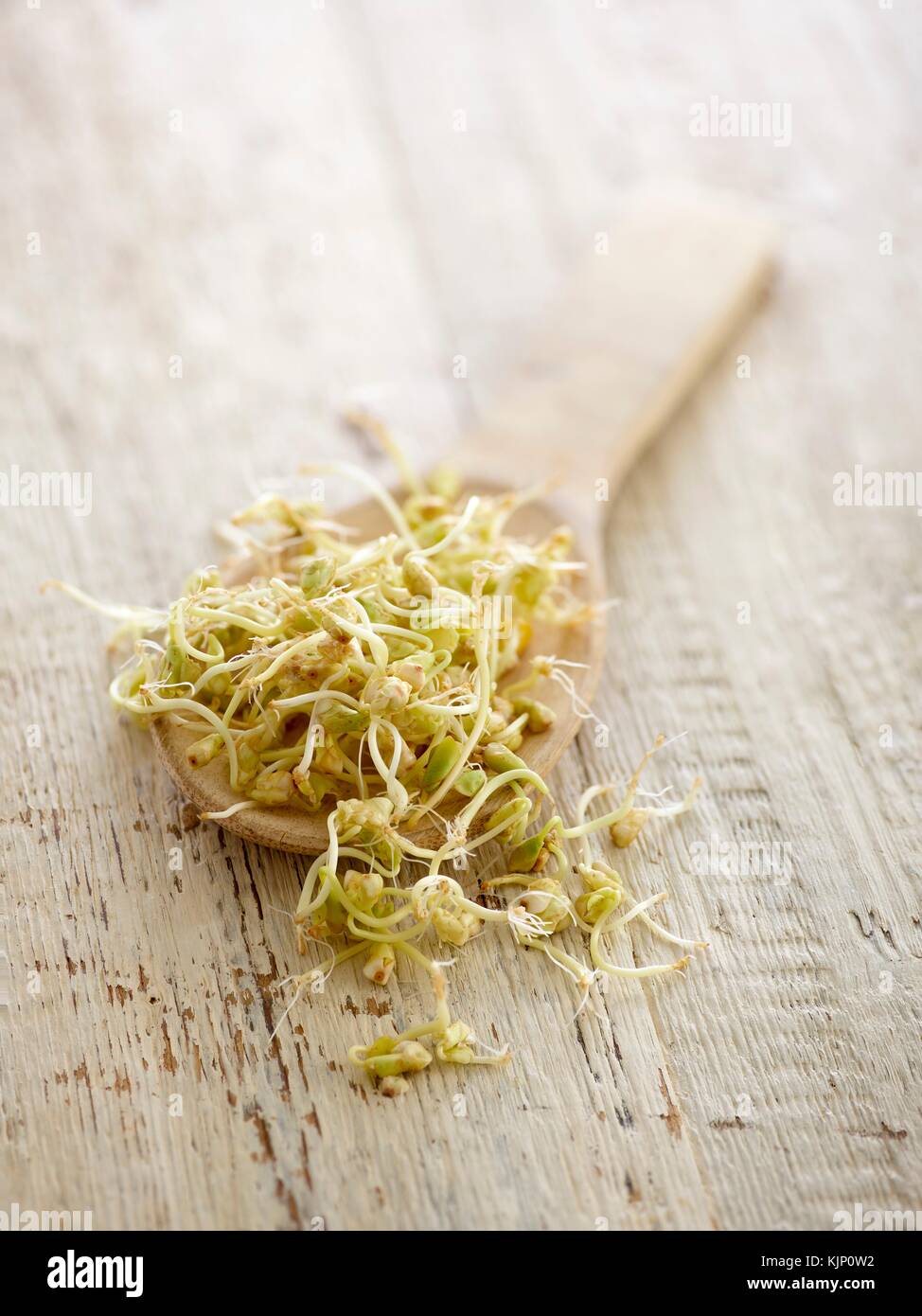 Buckwheat sprout hi-res stock photography and images - Alamy