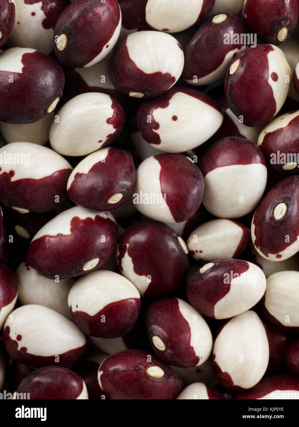 Climbing beans hi-res stock photography and images - Alamy