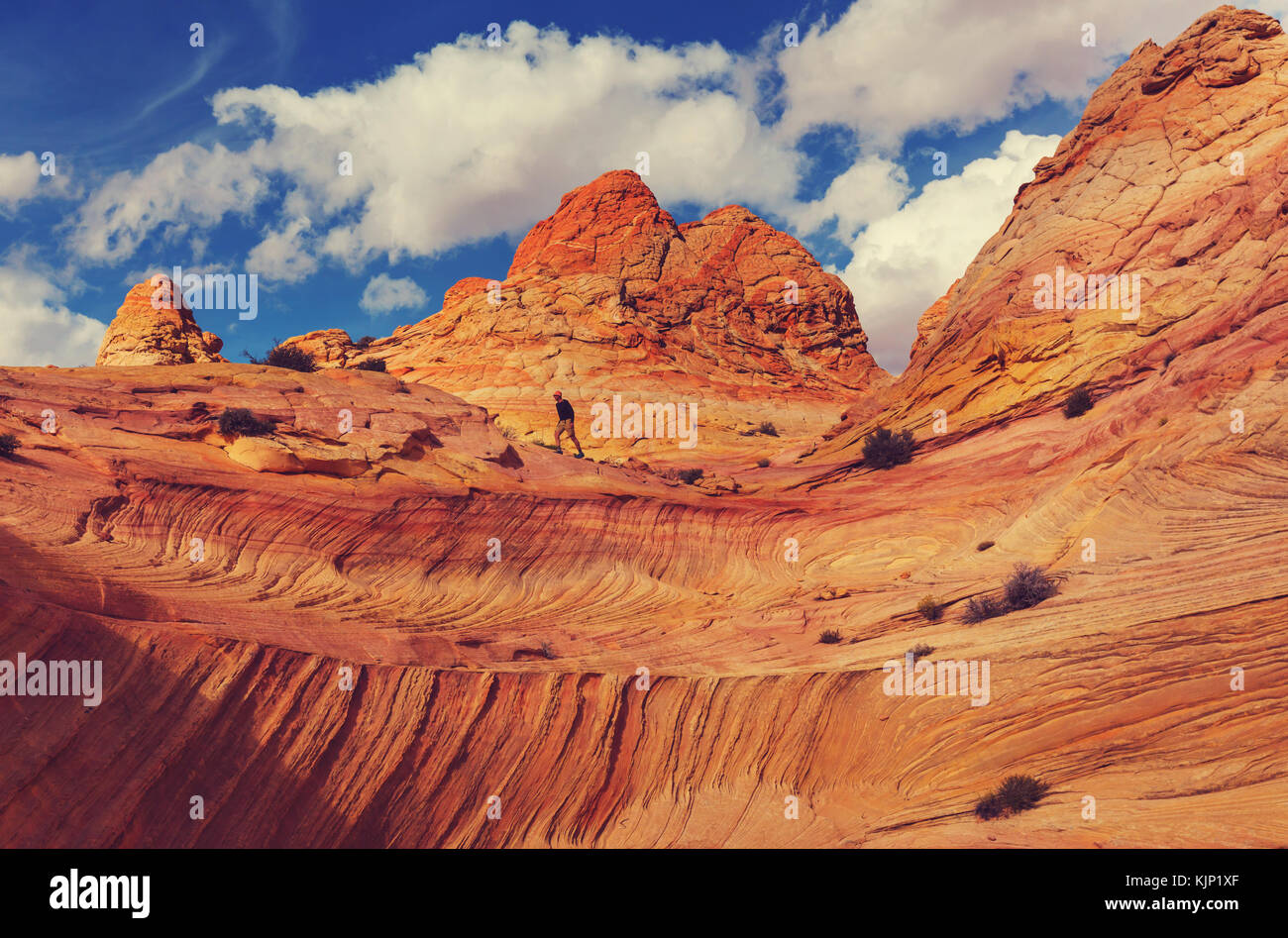 Coyote Buttes of the Vermillion Cliffs Wilderness Area, Utah and ...