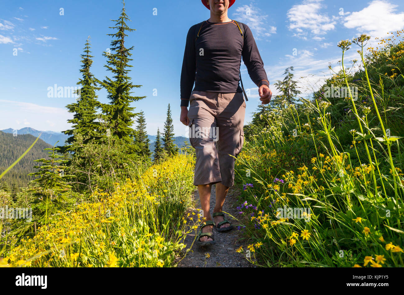 Backpacker in summer mountains Stock Photo - Alamy
