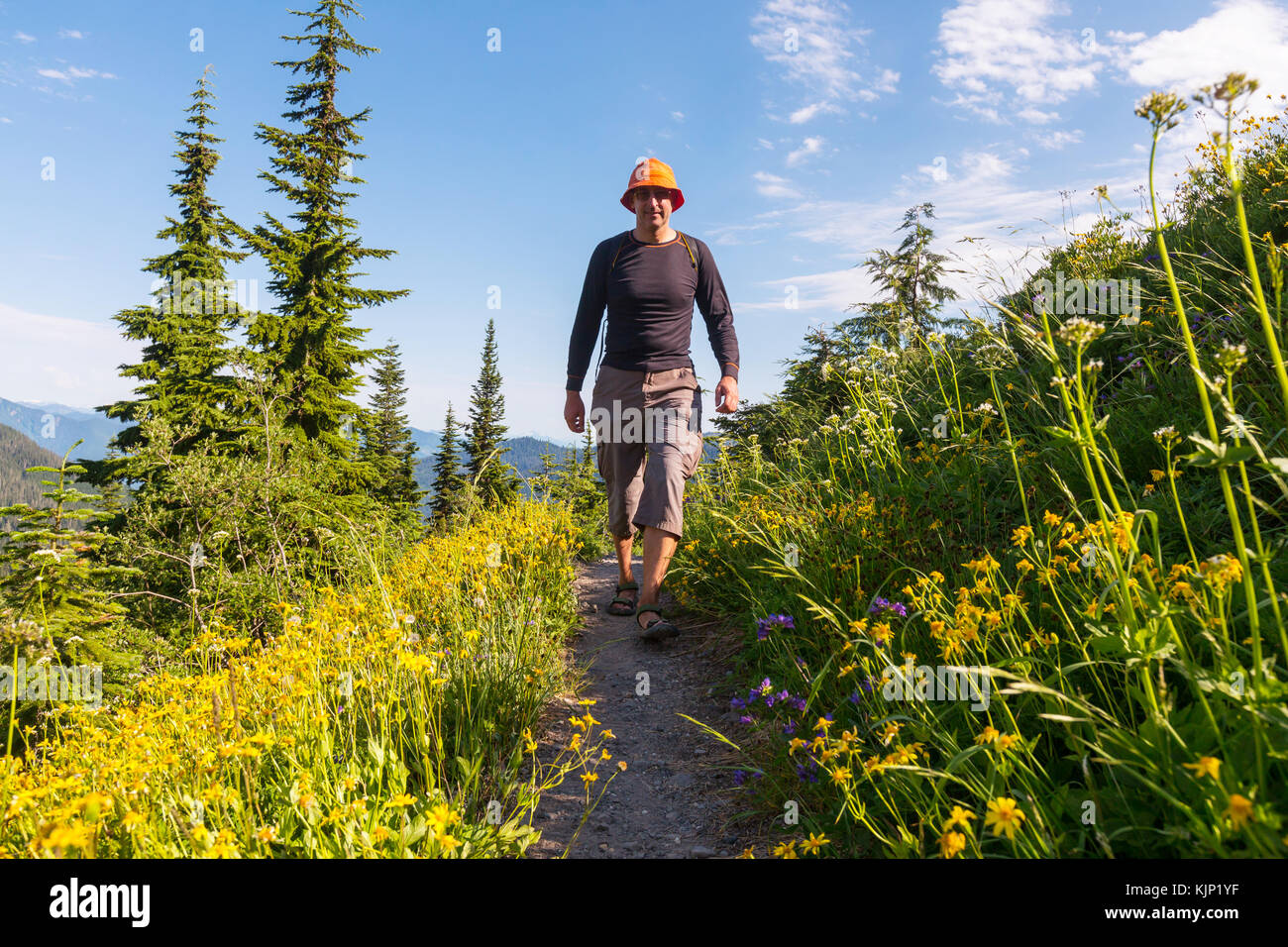 Backpacker in summer mountains Stock Photo - Alamy