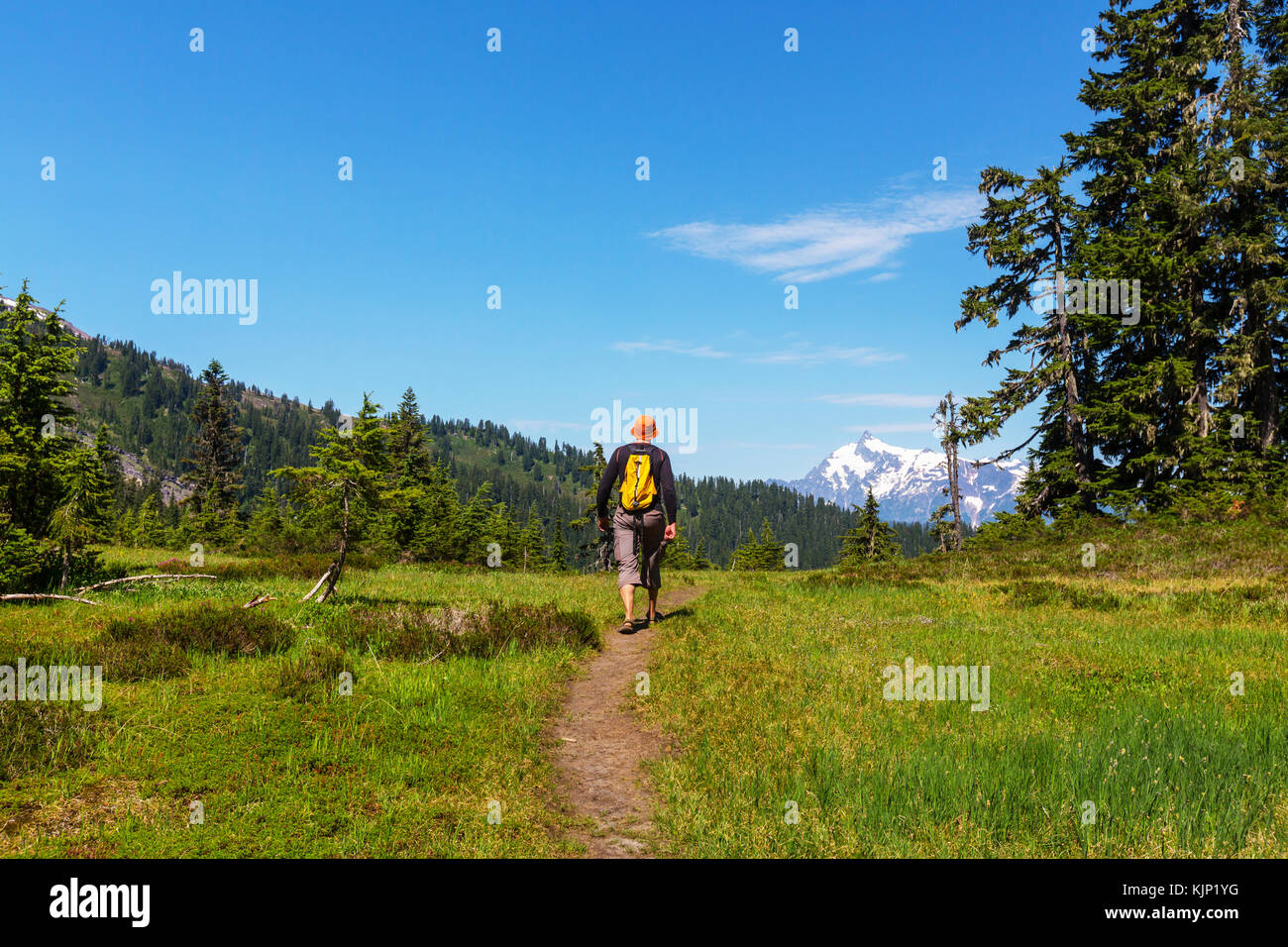 Backpacker in summer mountains Stock Photo - Alamy