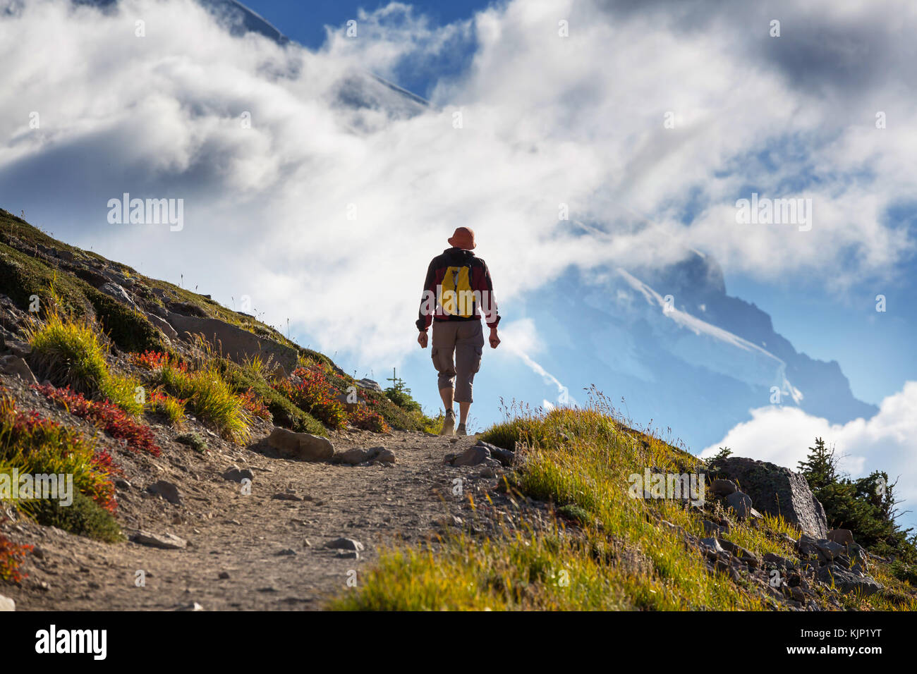 Backpacker in the summer mountains Stock Photo - Alamy