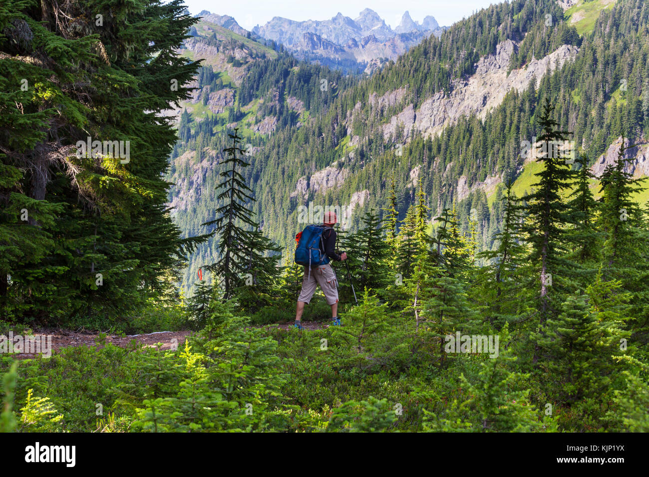 Backpacker in the summer mountains Stock Photo - Alamy
