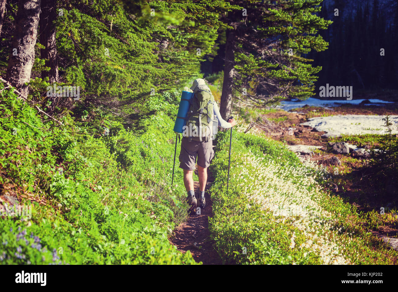 Backpacker in the summer mountains Stock Photo - Alamy