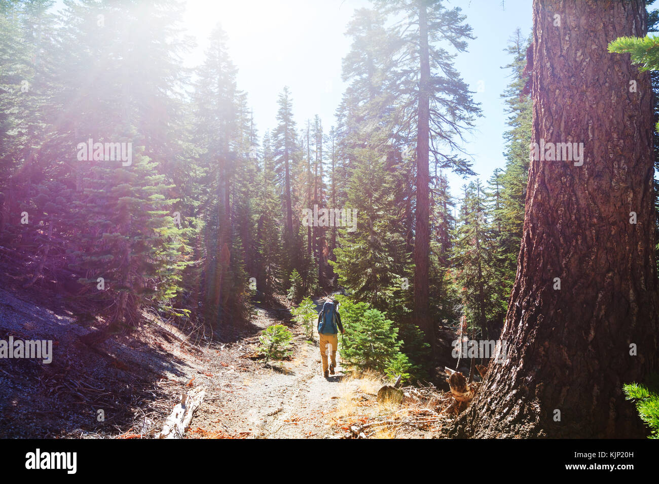 Backpacker in the summer mountains Stock Photo - Alamy