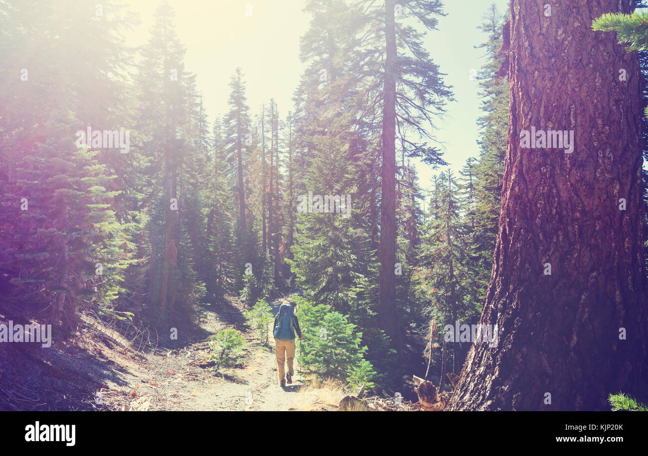 Backpacker in the summer mountains Stock Photo - Alamy