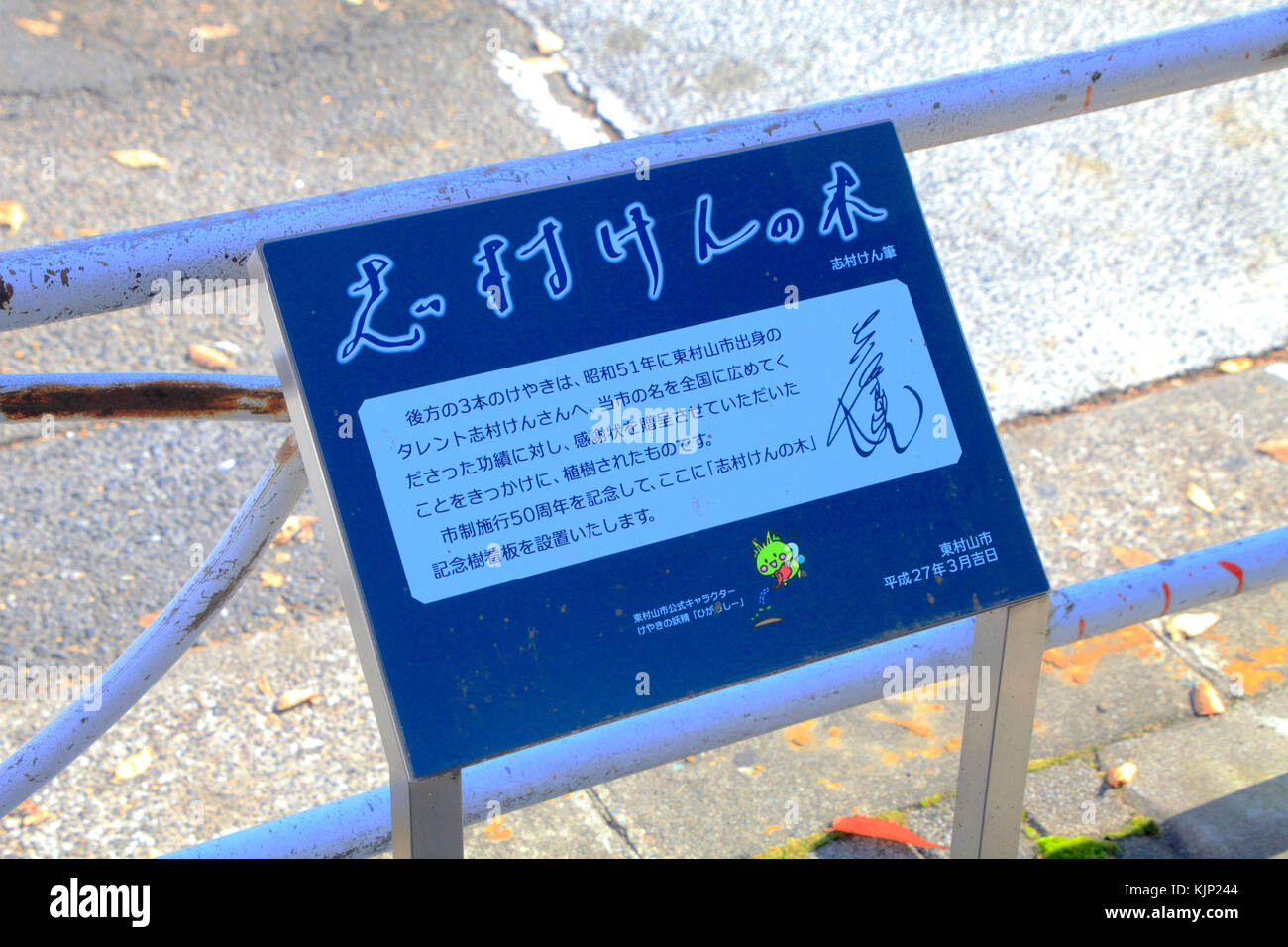 Shimura ken tree hi-res stock photography and images - Alamy