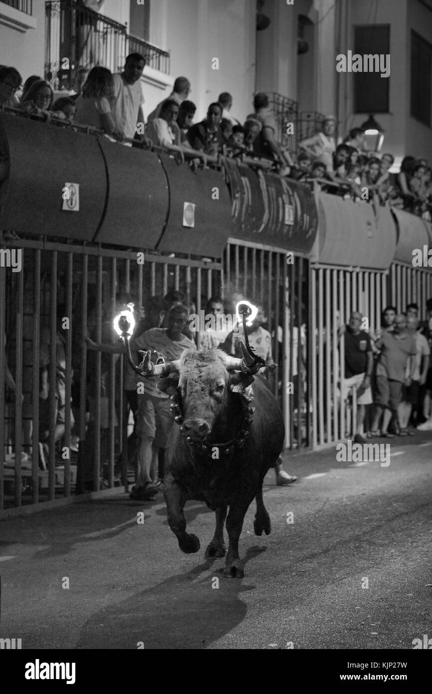 Bull running festival Black and White Stock Photos & Images - Alamy