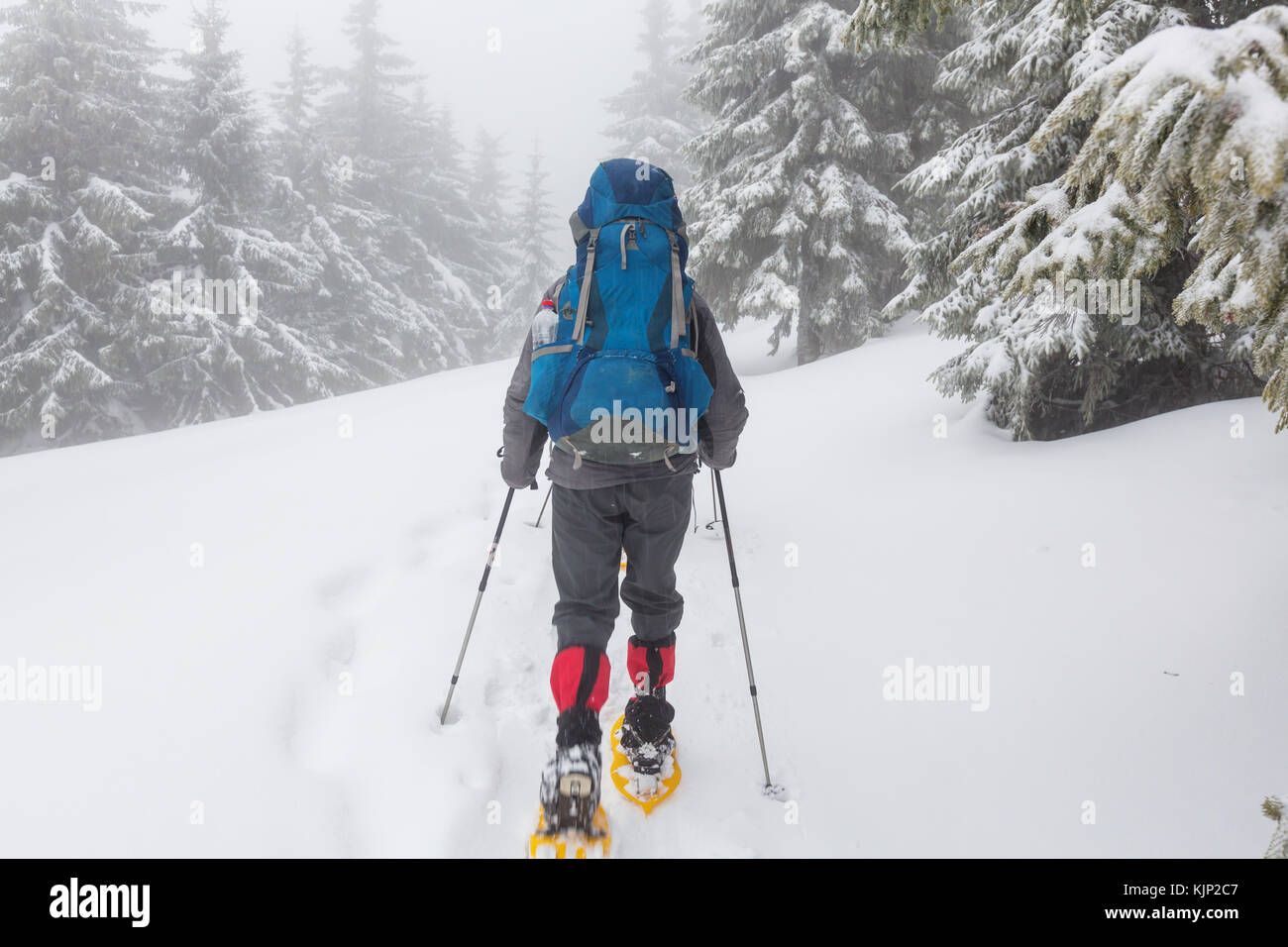 Hikers in the winter mountains Stock Photo - Alamy