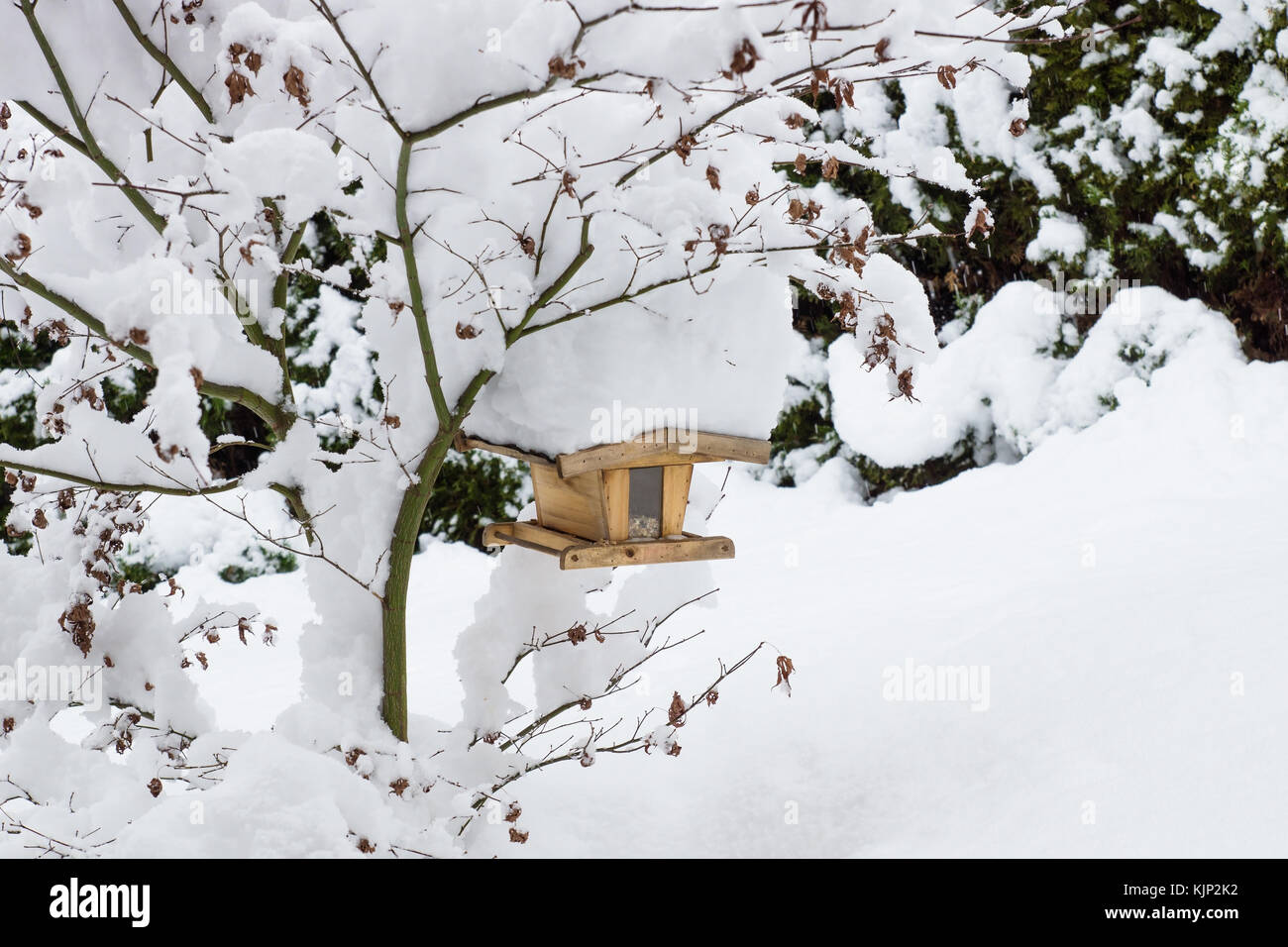 Tranquil birdhouse scene hi-res stock photography and images - Alamy