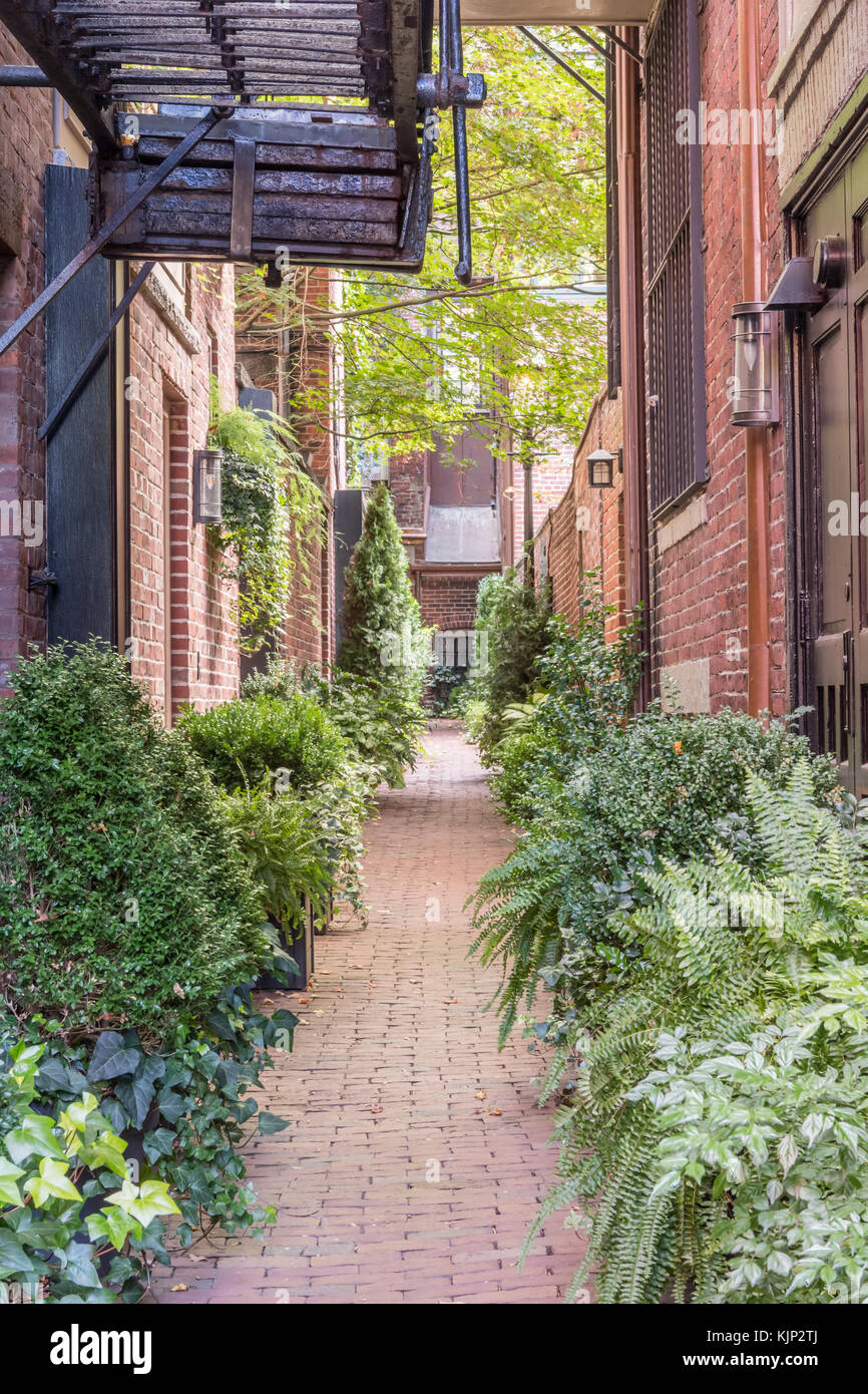 Brick Alley Way Garden Boxes Line Walkway Stock Photo - Alamy