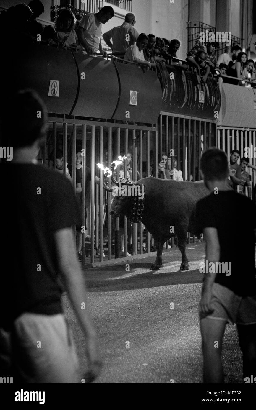 Running of the bulls crowd hi-res stock photography and images - Alamy