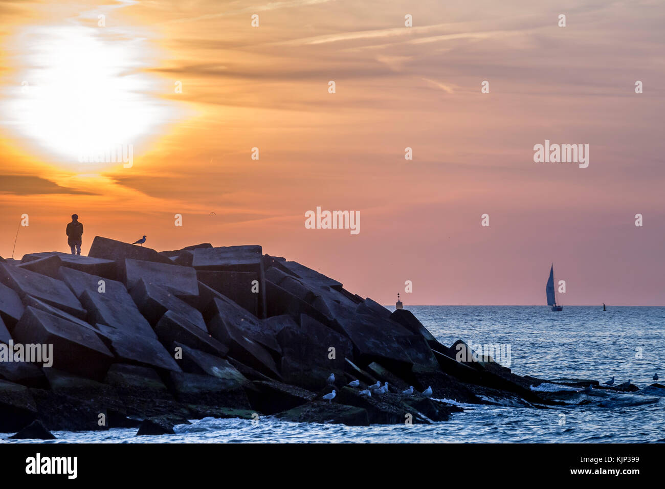 Scheveningen beach in The Hague Stock Photo - Alamy