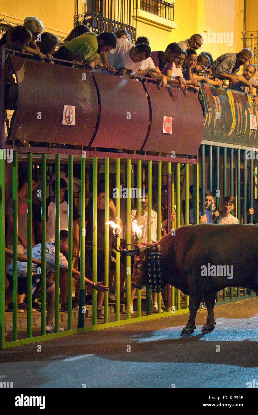 Running Of The Bulls Crowd High Resolution Stock Photography and Images ...