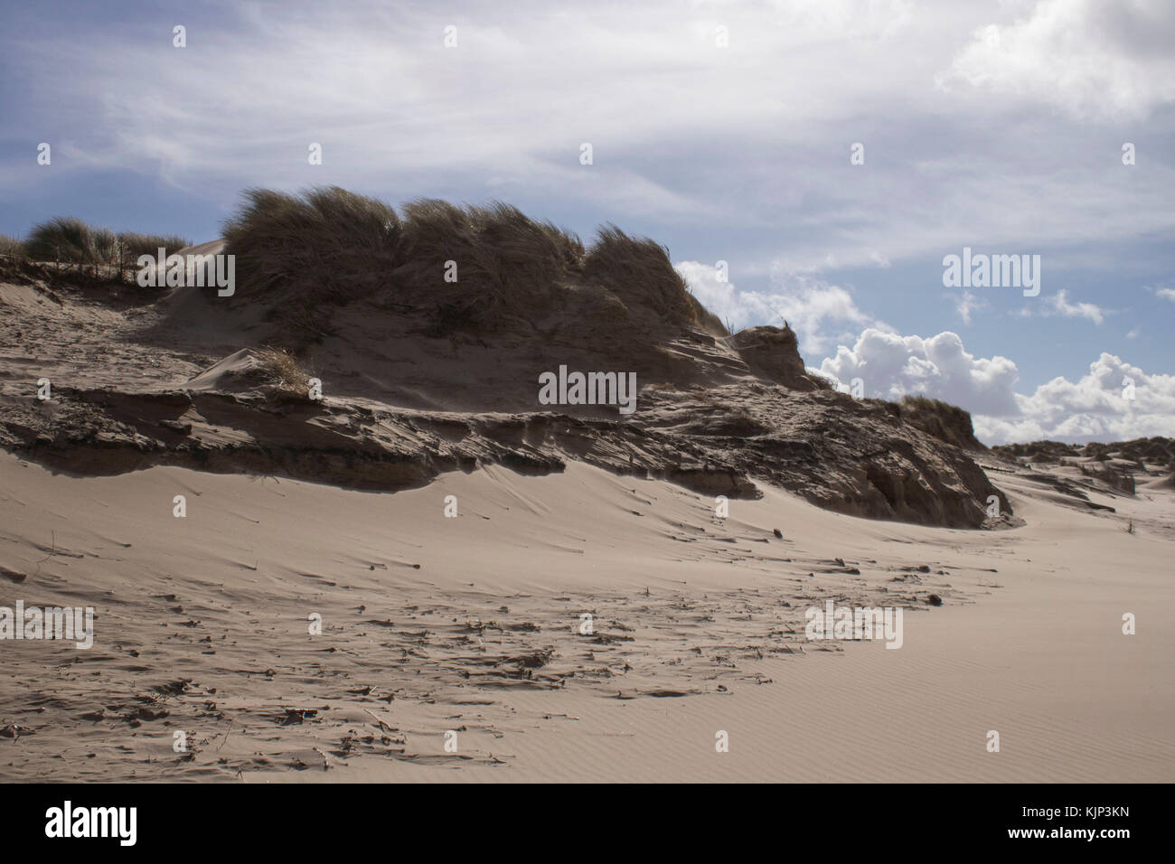 sand dunes with grass blowing in the sea breeze at formby point Stock ...