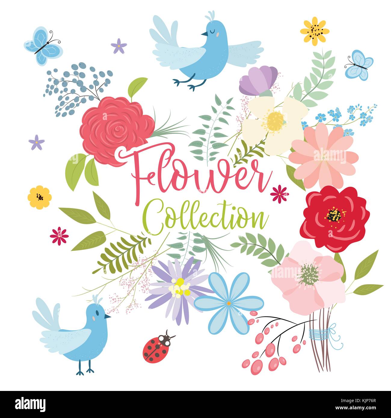 Vector set of plants, flowers and herbs Stock Vector Image & Art - Alamy
