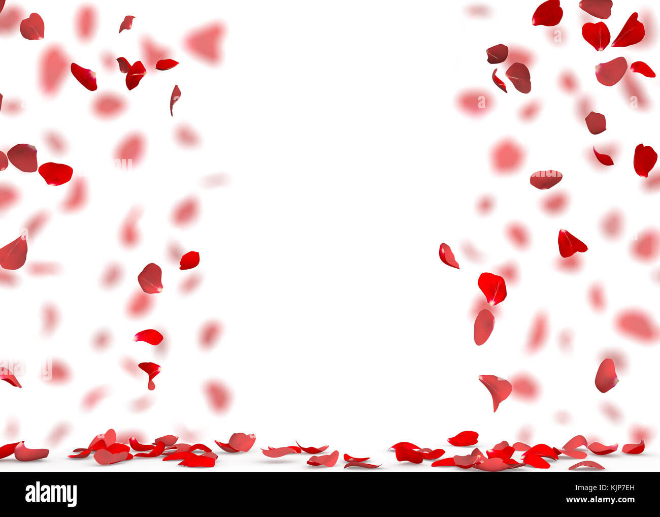 Rose petals fall to the floor. Isolated background. Blurred background ...