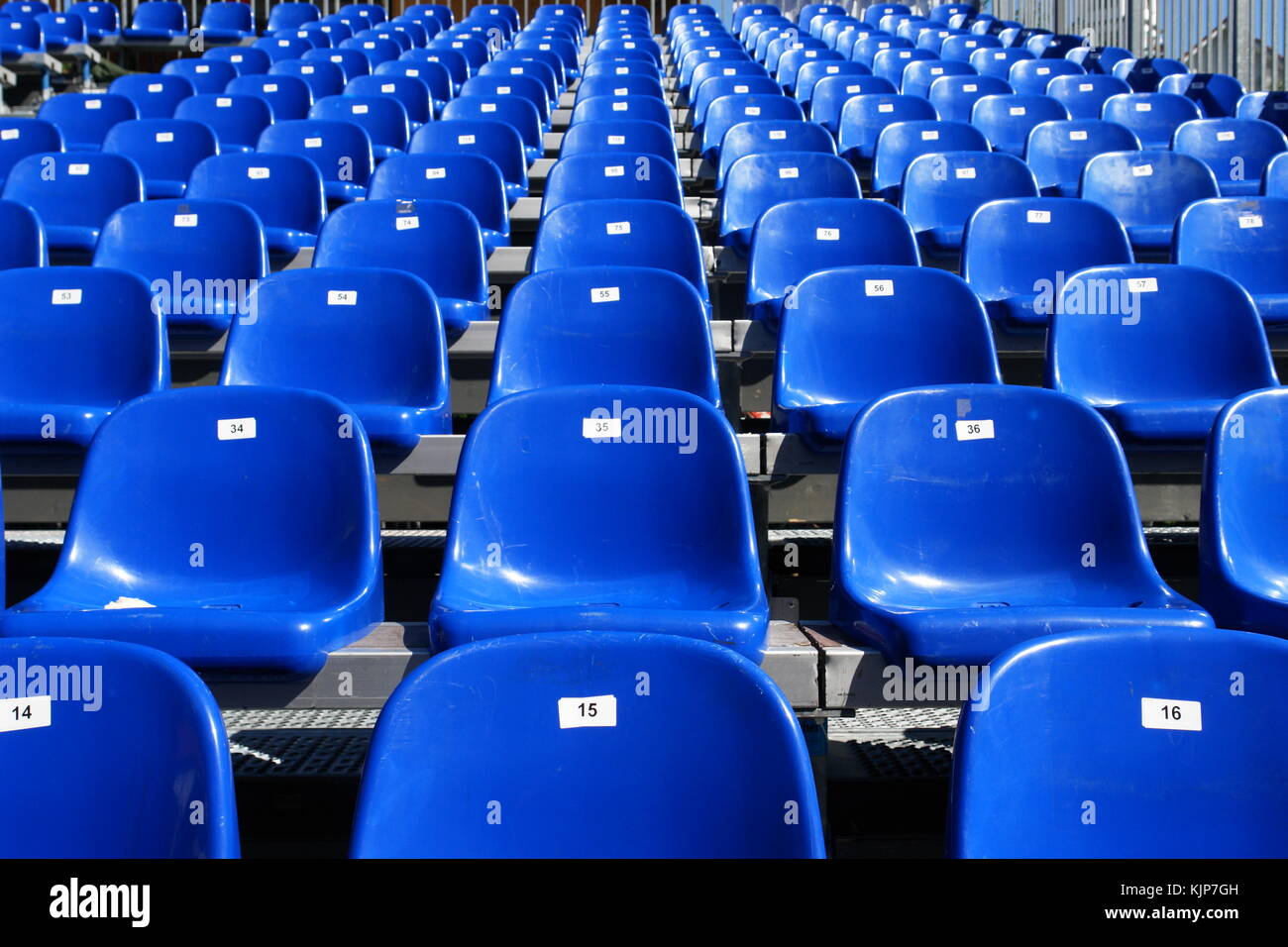 Rows of blue seats on modern stadium Stock Photo - Alamy