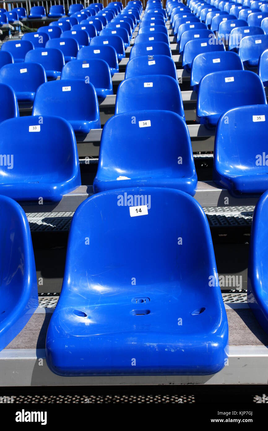 Rows of blue seats on modern stadium Stock Photo - Alamy