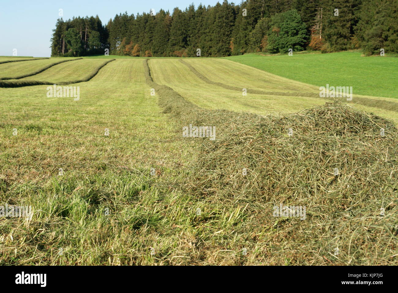 Windrows hi-res stock photography and images - Alamy