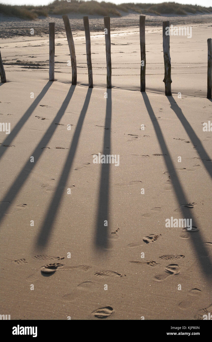 Dune Fence on Beach at Sunset Stock Photo - Alamy