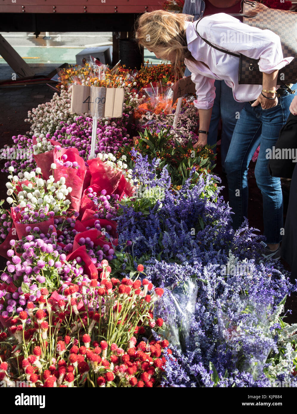 Flowers for sale at Union Square Market New York Stock Photo - Alamy