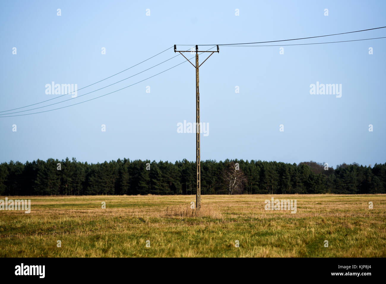 Electricity grid on the background of a meadow and blue sky in Poland ...