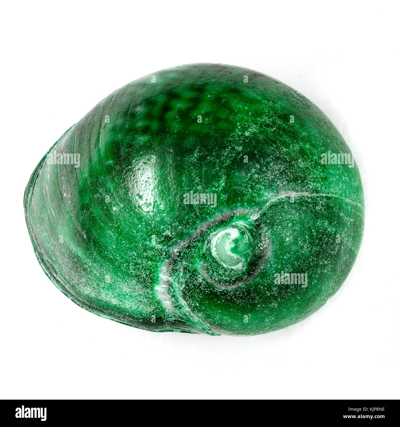 Nautilus shell section Cut Out Stock Images & Pictures - Alamy