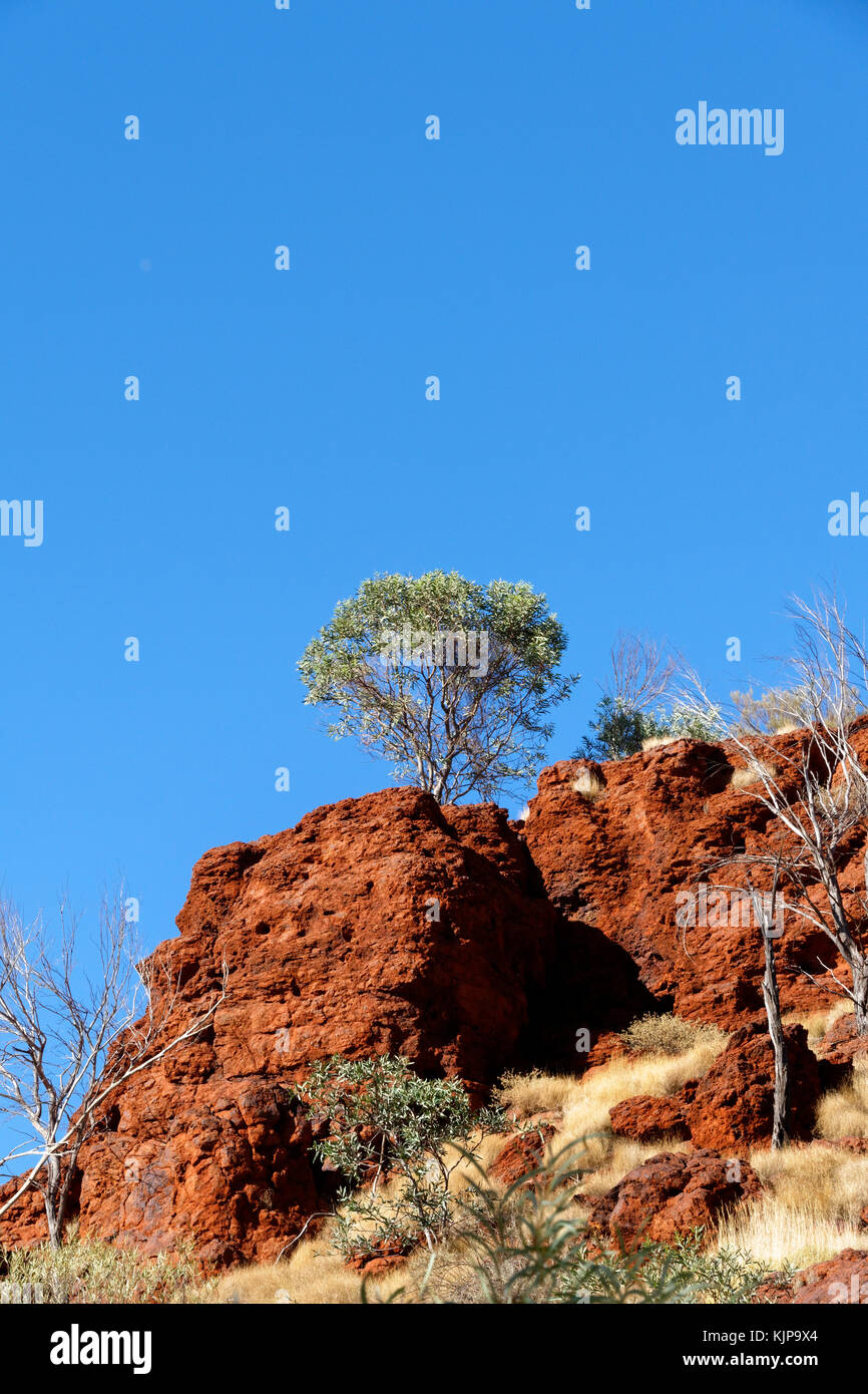 Australian iron ore landscape, Pilbara, Western Australia Stock Photo ...