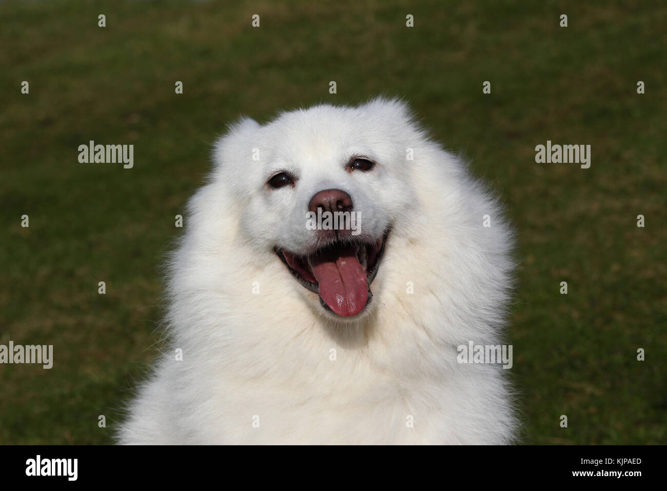 Smiling looking at camera close hi-res stock photography and images - Alamy