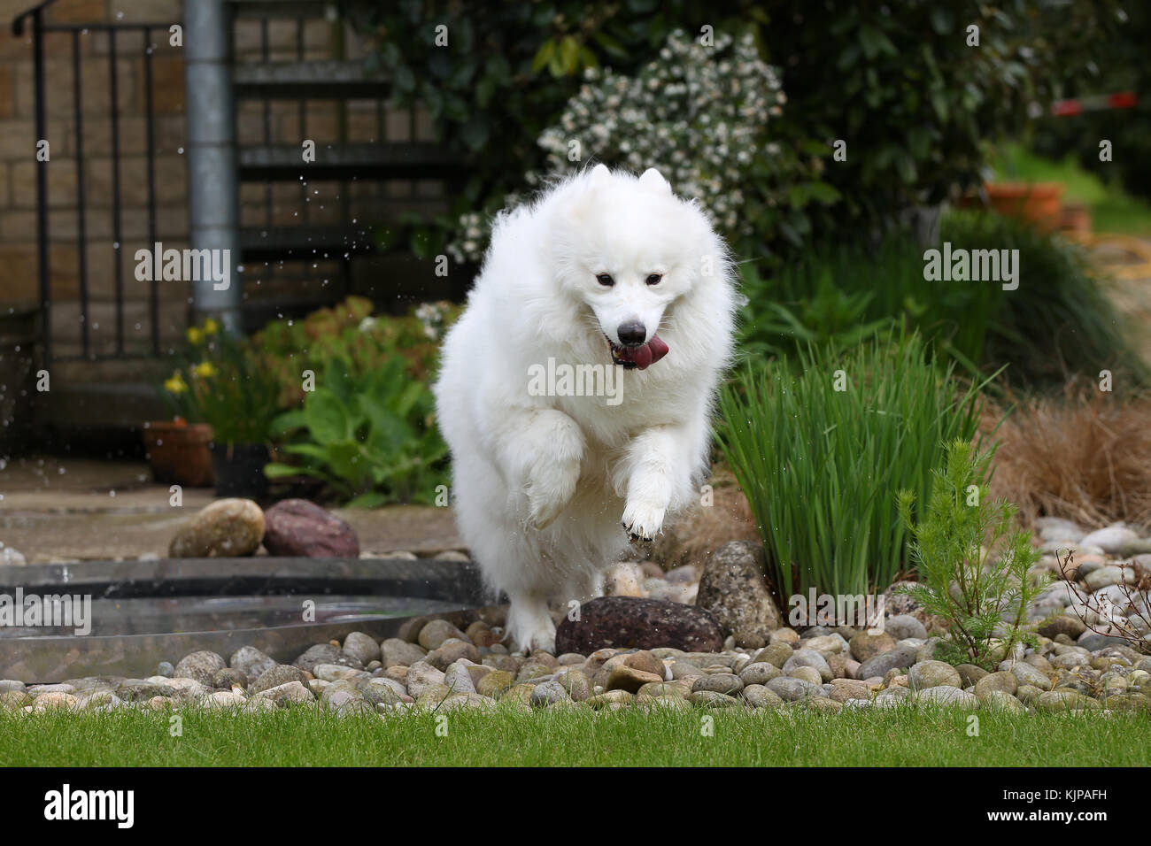 Running towards camera hi-res stock photography and images - Alamy