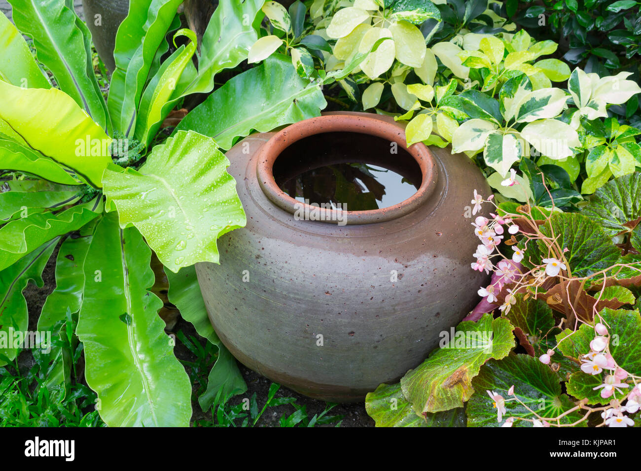 earthen jar in the garden, earthen water jar, garden props,Ancient Thai ...