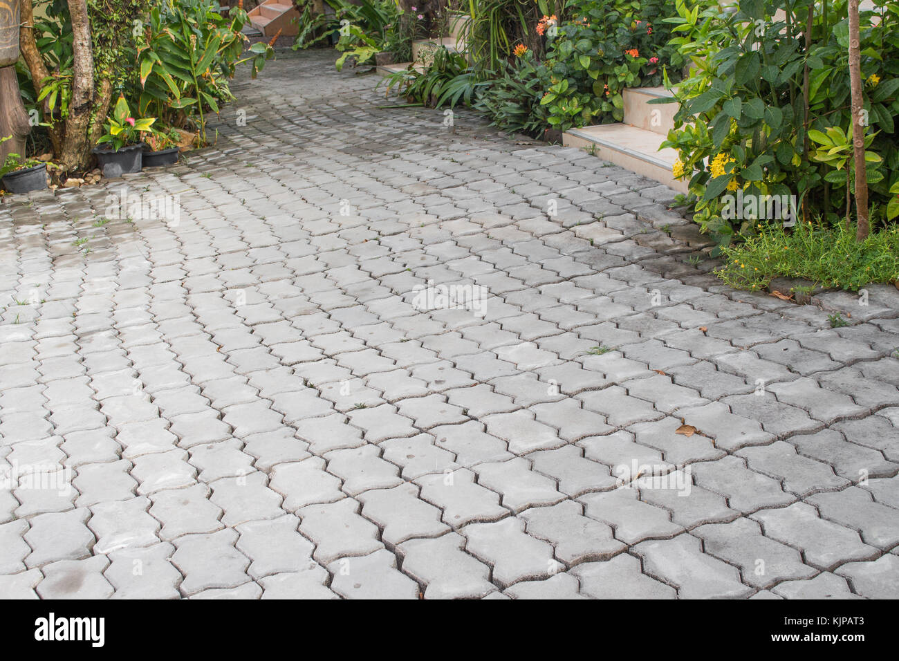 The Stone block walk path in the park Stock Photo - Alamy